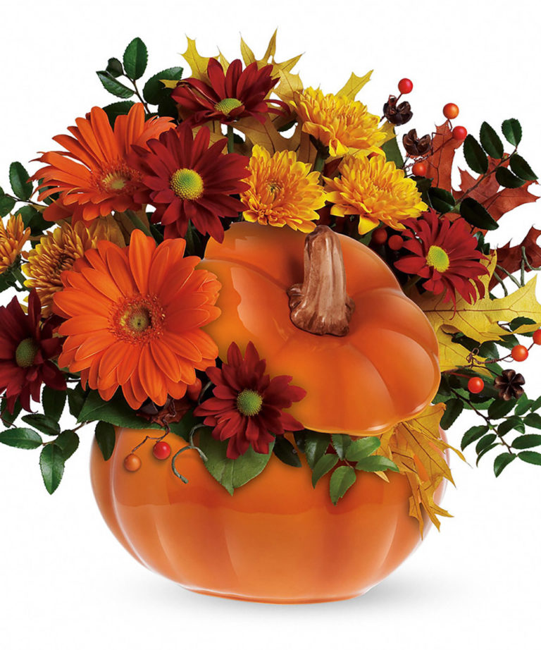 The Most Beautiful Fall Flowers - Norton's Florist