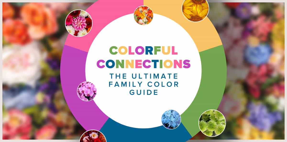 Life in Color Family Edition: A Guide to Choosing the Best Flower Hues ...